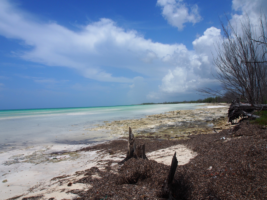 Wayne Baumgarten and Debbie Baumgarten - A Travel Blog